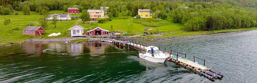 Lavan - Angelreisen K. Borchert